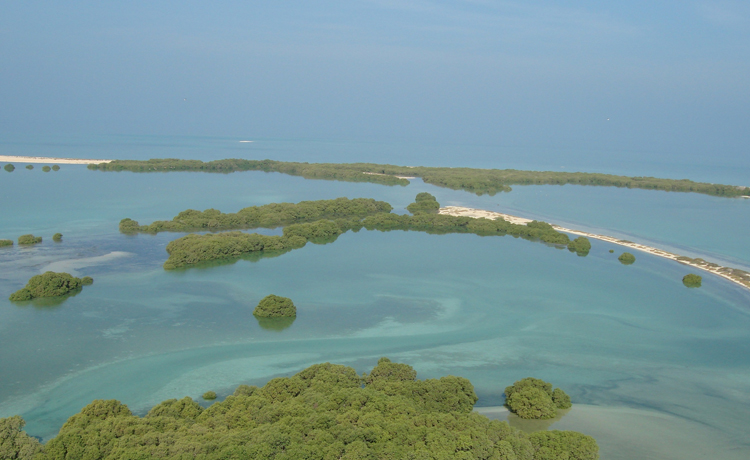 EAD Launches 'Ghars Al Emarat'