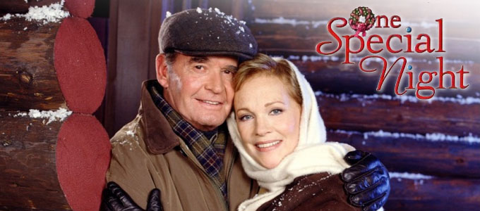 One Special Night
