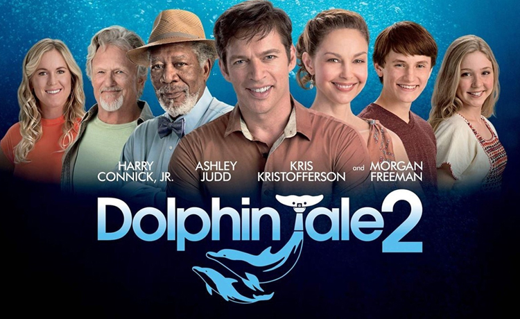 Dolphin Tale 2