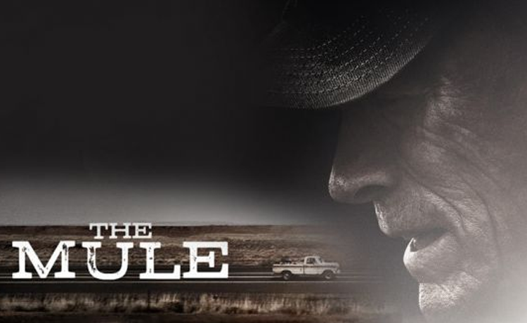 The Mule