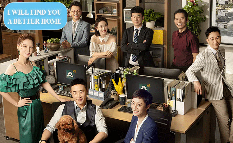 DubaiOne | Dubai Media Inc