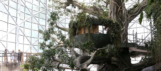 A taste of tropical in Dubai as indoor rainforest opens