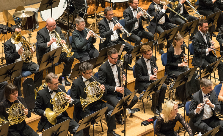 The World Doctors Orchestra's Debut Performance in Dubai